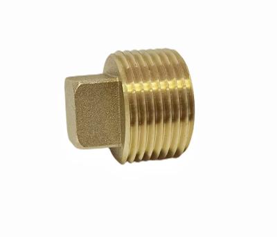 Cina il tubo d'ottone solido di 1/2inch NPT tappa la testa adattantesi del quadrato inossidabile in vendita