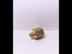 Brass Pipe Fitting, FNPT x MNPT, 3/8