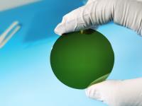 China Oblea 4H - tipo del carburo de silicio de SIC de N para MOS Device 2inch Dia50.6mm en venta