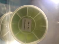 China Customized Sic Wafer SiC Single Crystal 4H-N Type Double Side Polished Surface for sale