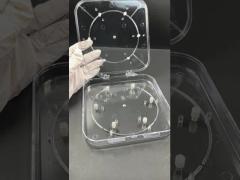 Verstelbare Waferdoos Transparante PC Waferhouder voor Semiconductor Bescherming