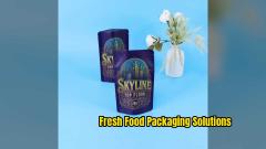 Custom Printed Stand Up Pouch for Food Packaging