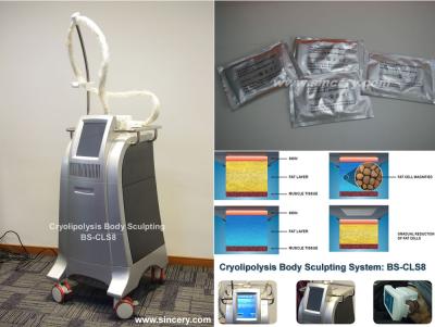 China Best Cryolipolysis body sculpting system for sale