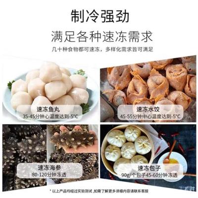 Cina Sistema di raffreddamento ventilatore Congelatore a scoppio per super prestazioni Gamberi Frutti di mare Congelamento rapido in vendita