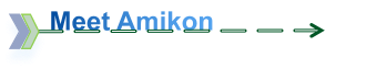 Amikon Limited company overview