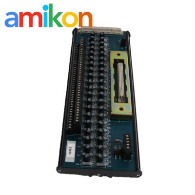 China ICS Triplex T8830 Analogue Input Field Termination Assembly with 40 Input Channels, 24 V DC Power for sale