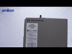 ICS triplex	T3310