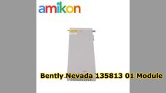 Bently Nevada 135813-01 I O Module for 3500 System