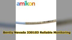 Bently Nevada 330103 15 23 05 02 CN Proximity Probe