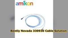 Bently Nevada 330930 040 00 05 Extension Cable Solution