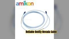 Bently Nevada 330130 3300 XL Extension Cable