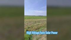 High voltage 300V LFP battery solar energy