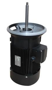 China Special Motors For Stainless  Pump for sale