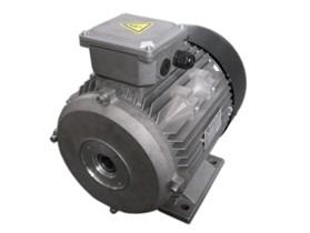 China Special Motors For Pressure Washers for sale