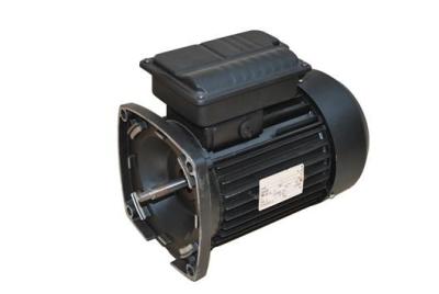 China Special Motors For POOL Spa pumps for sale