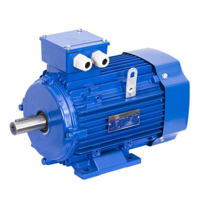 China Gost Standard motor for sale