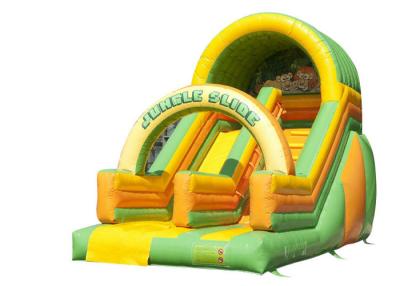 Chine Chambre publique de rebond de jungle avec la glissière, glissière gonflable du glissement N de divertissement à vendre
