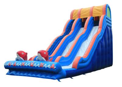Chine Glissière gonflable de partie de glissière d'eau de grande glissière gonflable pour des enfants et des adultes à vendre
