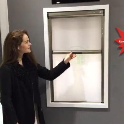 China Fiberglass mesh roll up insect screen for Magnum windows style for sale