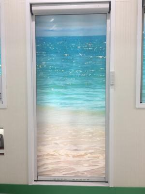 China Anti mosquito flyscreen net retractable motorized solarium sunscreen window door sun screen for sale