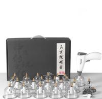 China 20 Cans Electric Cupping Vacuum Cupping Device Household Set with Massage Equipment Properties Non-cupping Beauty Salon Tool for sale