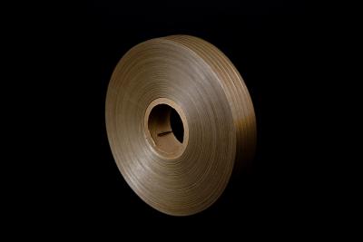 Cina 0.13mm Spessore Nastro di micella di flogopite per cavi Isolamento ad alta temperatura in vendita