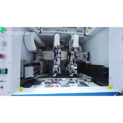 China Dual Valve Vision Dispensing Machine FPC Modules Underfill Coating Sealant for sale