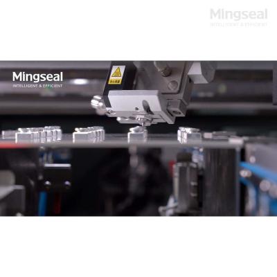 China Dual Track BGA Glue Dispensing Machine Chip Underfill Visual Dispensing Machine for sale