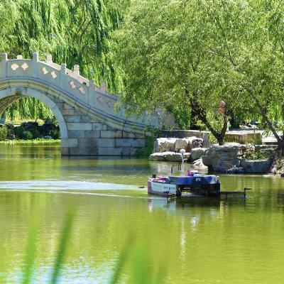 Cina Crogiolo urbano di robot USV dei rifiuti dei fiumi delle barche alimentate a gas di RC per rimozione della vegetazione del lago in vendita
