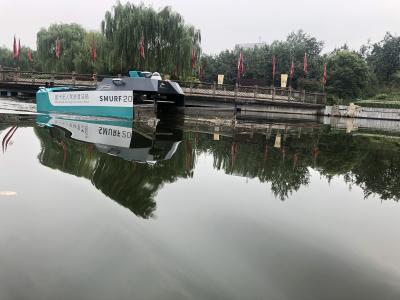 中国 パッド制御自治表面車SMURF 20は調査の容器USVを意気地なくした 販売のため