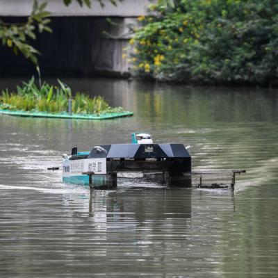 Cina Hydrographic Surveying Driverless Boat Unmanned Cleaning Intelligent Inspection in vendita