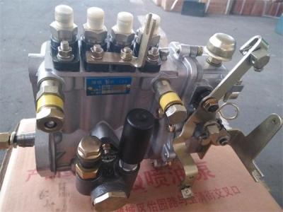 China Laidong LL380,LL380B,KM385B,LL480B,KM485B,4L22B,KM496,KM4100 Engine Delivery Valve And Plunger for sale