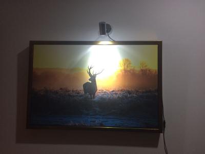 Cina Lampada da scrivania a LED per hotel e uffici in vendita