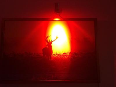 Cina Lampada da scrivania a LED per hotel e uffici in vendita