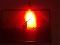 China Lightweight RV Caravan LED Reading Light with Long Working Time for sale