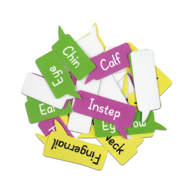 Removable Body Learning Dry Erase Poster