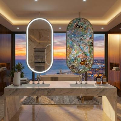 Kingstin Luxury Oval Drop Mirror: Ceiling Suspended LED Mirror with ...