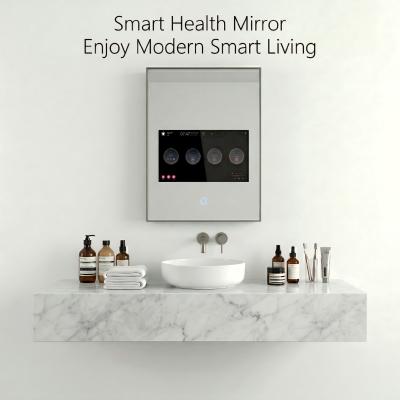 Kingstin Custom Smart Mirror Cabinet Android TV Screen Stainless Steel ...