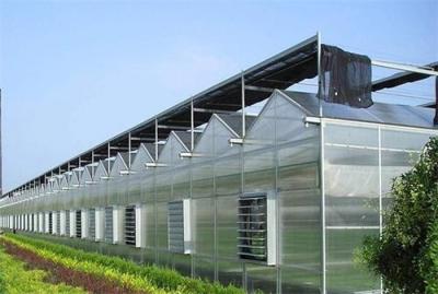 China Durable Greenhouse Roof Glass Tempered Horticultural Glass Vegetable Under for sale