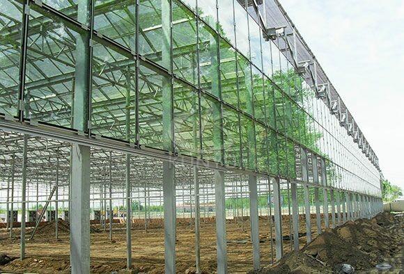 Quality Customizable 4mm Toughened Glass Lightweight Greenhouse Glass Panel 300*300mm for sale