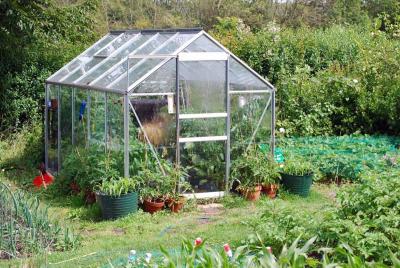 China Custiomized Greenhouse Glass Panels Tempered Patterned Glass Panel Durable for sale