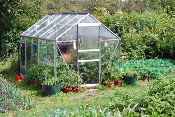 Quality Custiomized Greenhouse Glass Panels Tempered Patterned Glass Panel Durable for sale