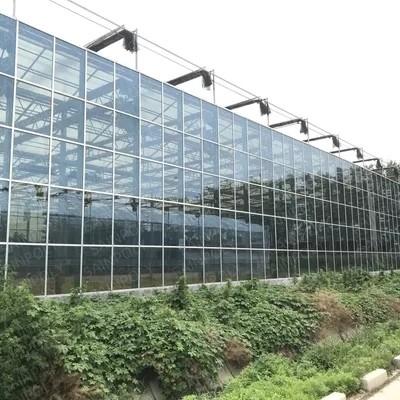 Quality AR Coating Greenhouse Glass Panels Pattern Tempered Greenhouse Glass 300*300mm for sale