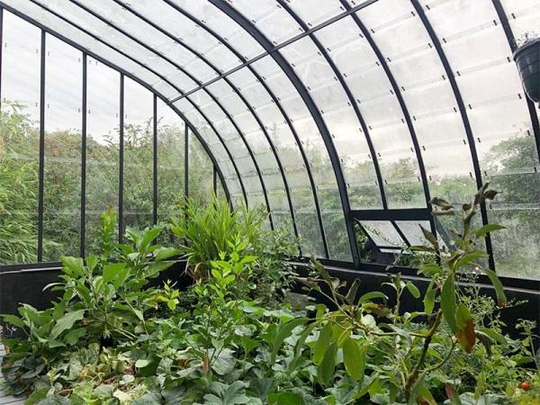 Quality Lightweight Greenhouse Glass Panels 4mm Greenhouse Roof Glass Customizable For Vagetables And Plants for sale