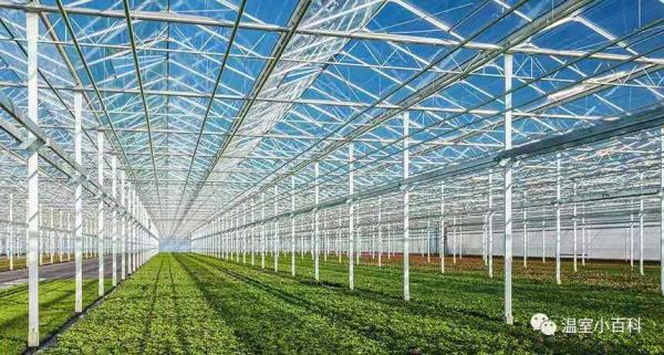 Quality Customizable Greenhouse Glass Panels 3.2mm 4mm Glass For Greenhouse Roof for sale