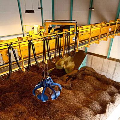 Cina Modello Double Girder Overhead Crane With Grab di QZ in vendita
