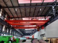 China QY Model Insulation Type Double Girder Overhead Crane CE ISO Certification for sale