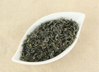 China 2019 new green tea for sale