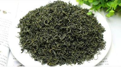 China Fragrant green tea material benefit fragrant tea cloud mist high mountain tea songyang rizhao green tea for sale