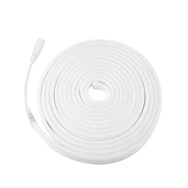 RGB Neon Strip Light illumination example